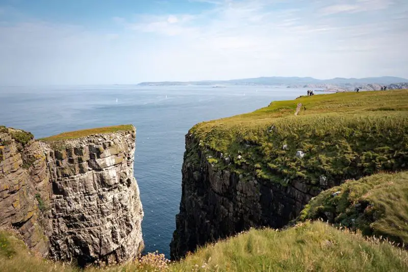 Handa Island (Your Complete Guide to the Walk, Wildlife and Journey ...