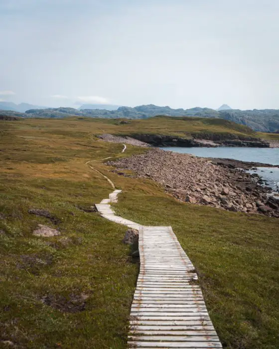 Handa Island (Your Complete Guide to the Walk, Wildlife and Journey ...