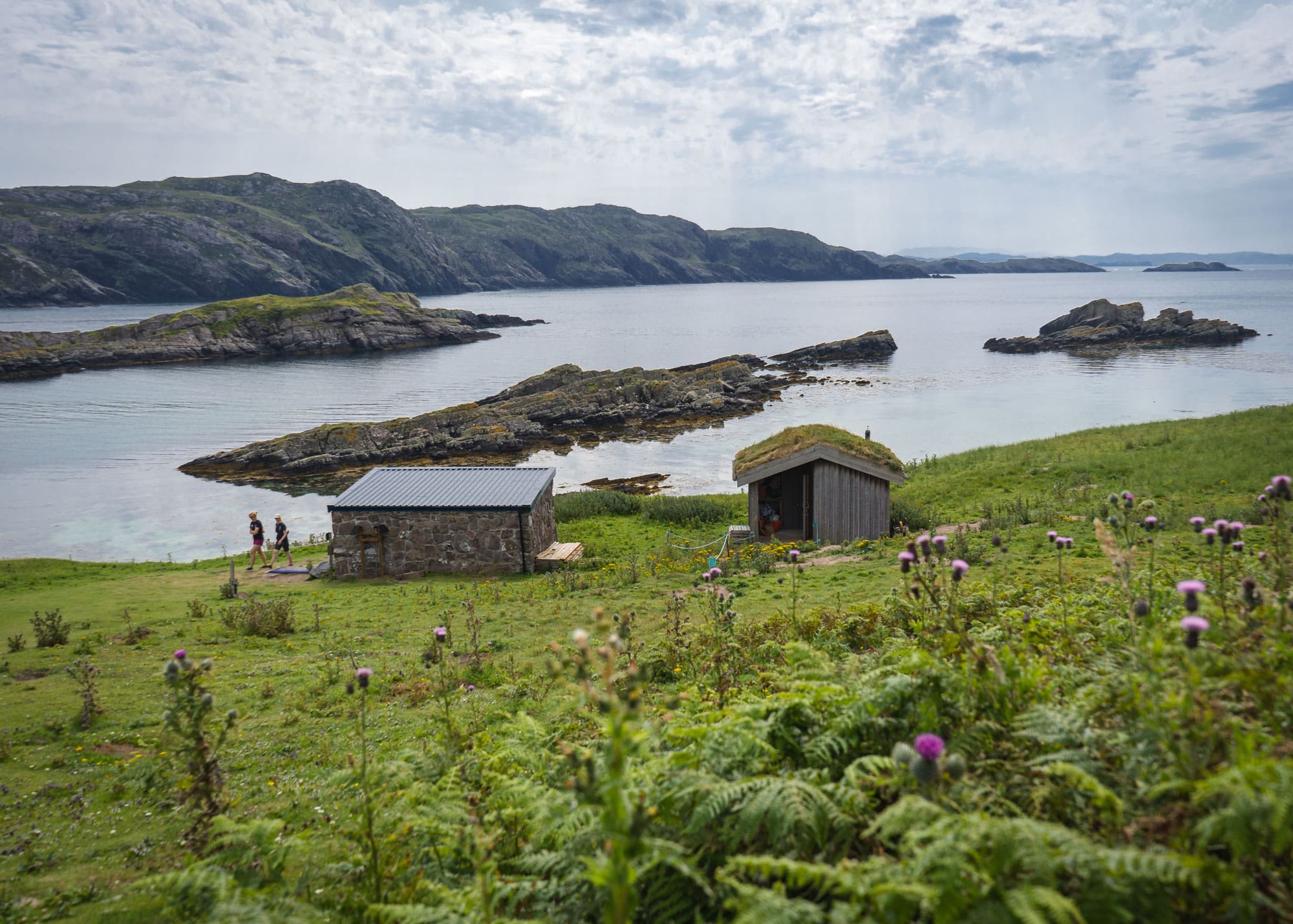 Handa Island (Your Complete Guide to the Walk, Wildlife and Journey ...