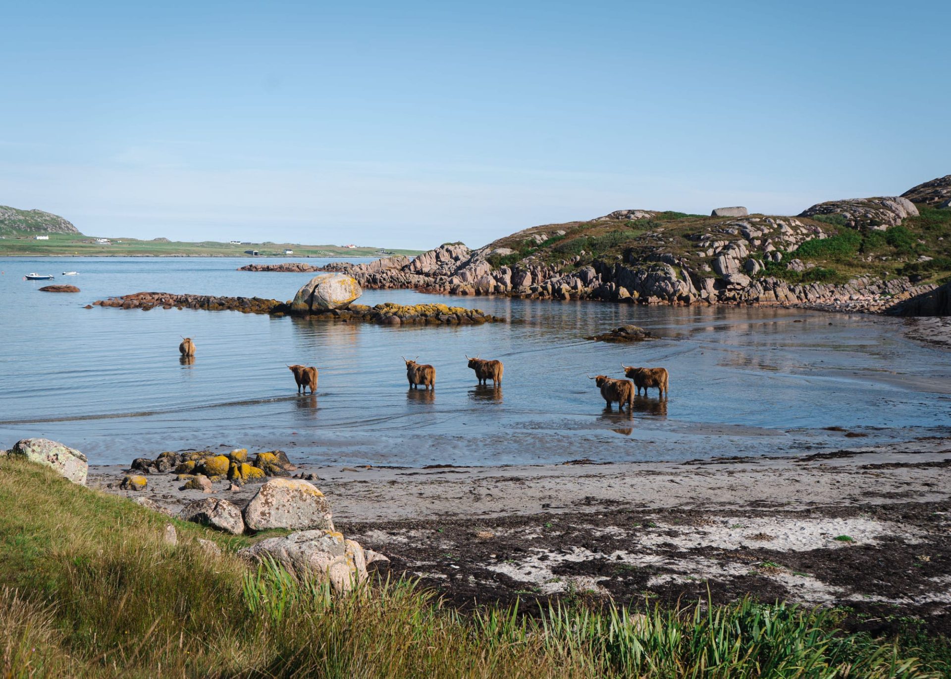 Isle of Mull Information: Things To Do & Where To Stay - KatieGoes