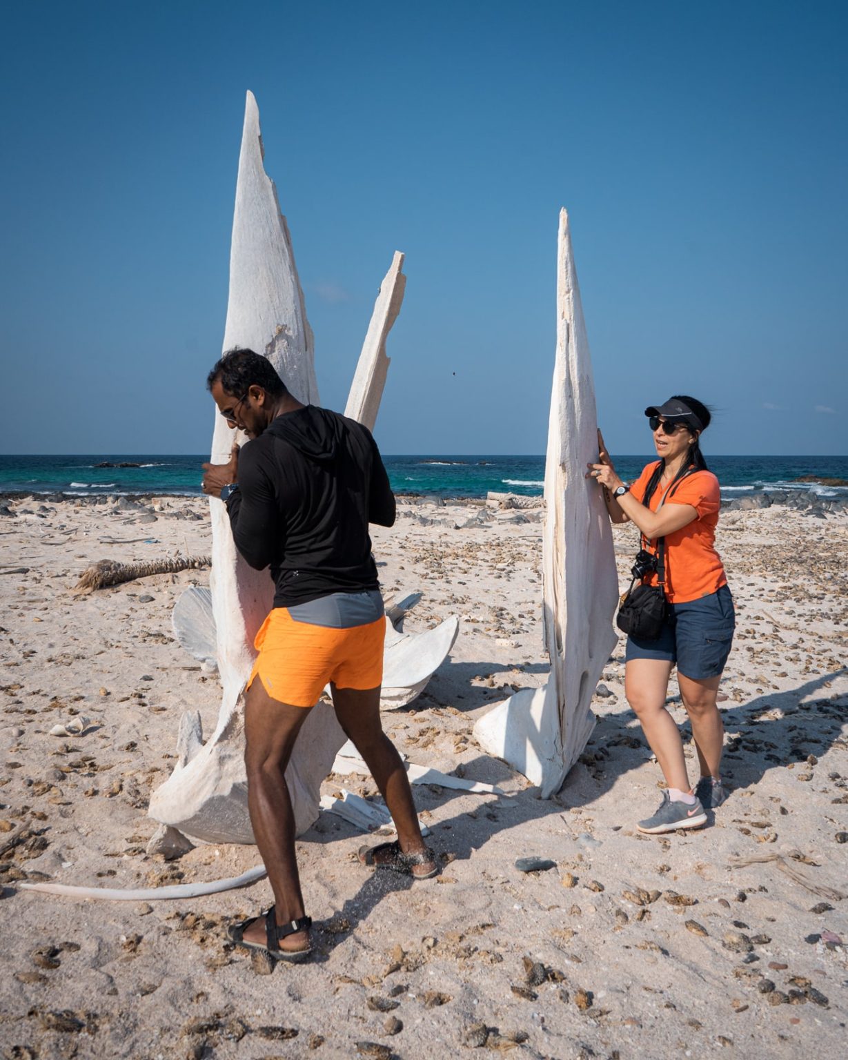 The 13 BEST Things to See on Socotra Island - KatieGoes